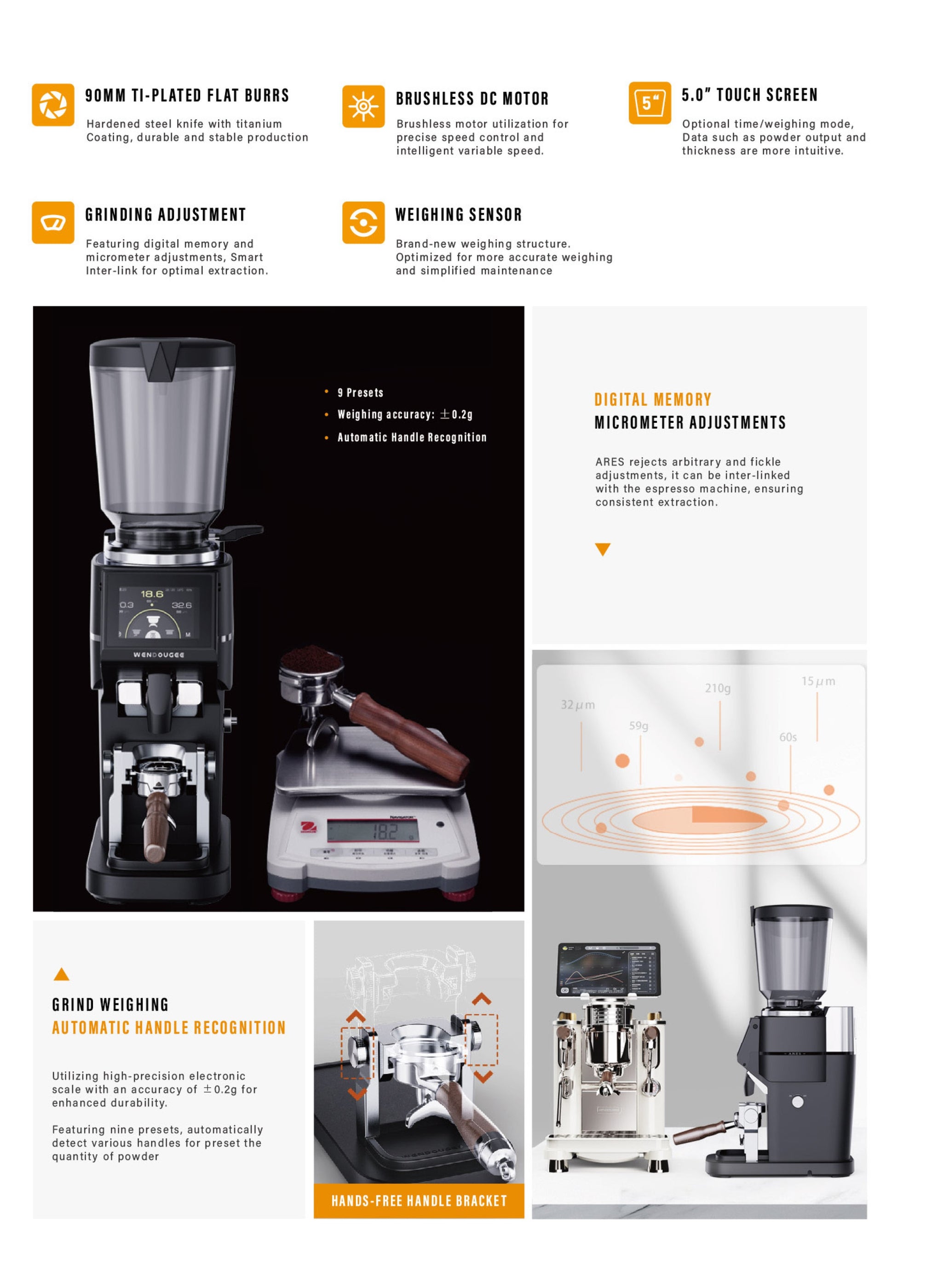 AELi Brews Cafe & Roastery – AELi Coffee Roasters