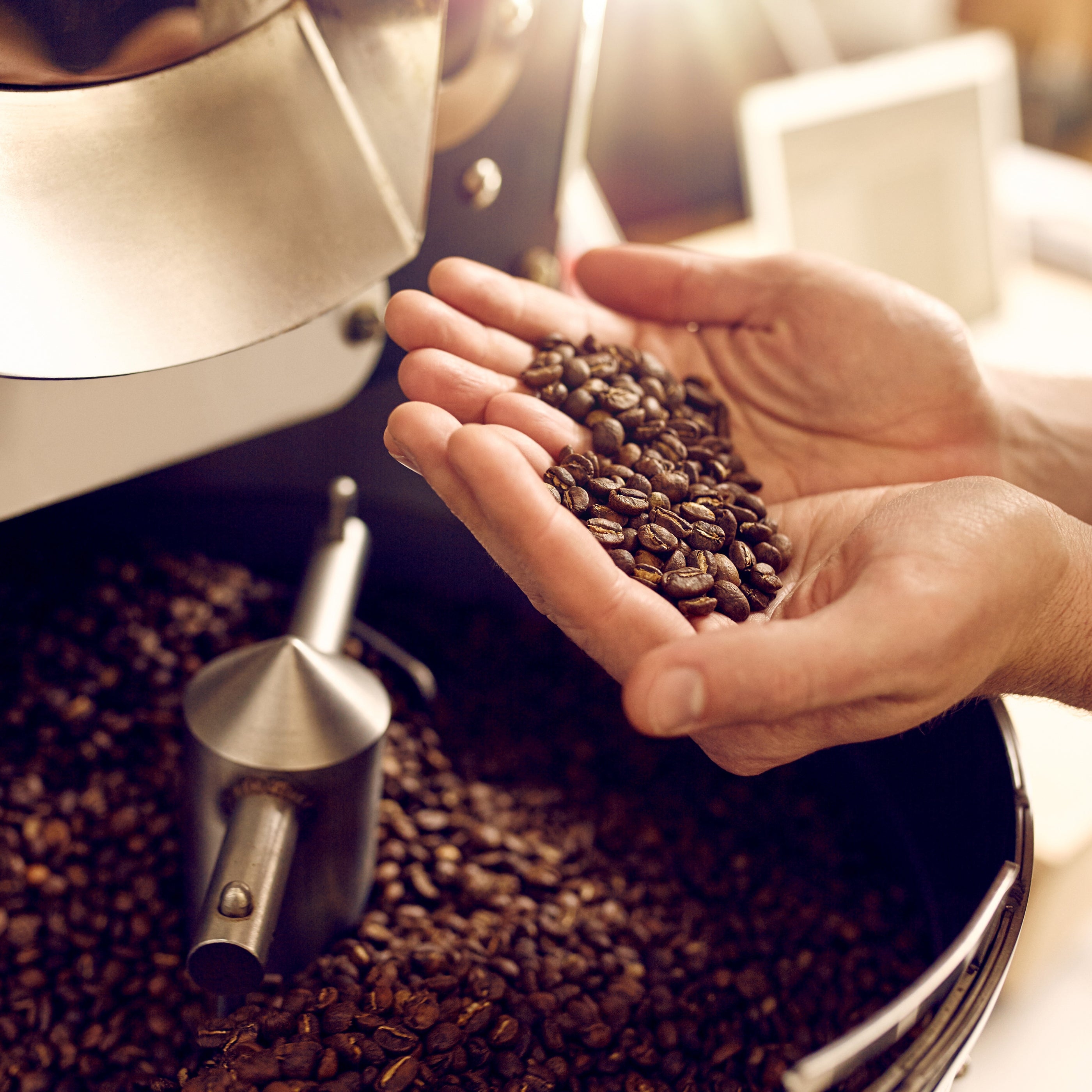 AELi Brews Cafe & Roastery – AELi Coffee Roasters